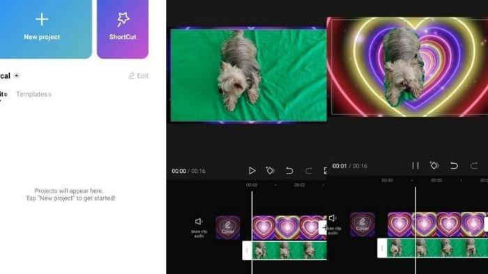 2 Cara Mengganti Background di Aplikasi Edit Video CapCut, Bisa Hapus Background dan Kunci Kroma ...