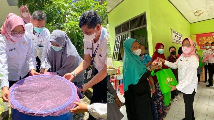 Tekan Kenaikan DBD di Balikpapan, Dinkes Sosialisasi dan Distribusikan ...