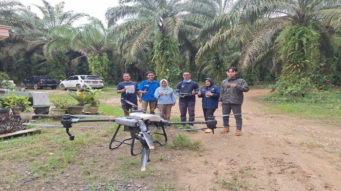Cegah Hama Ulat Api, DSN Group dan UPT Muara Wahau Semprot Kebun Sawit ...
