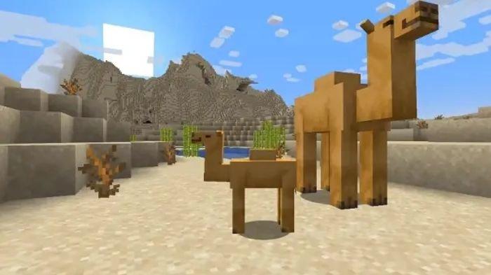 Minecraft 1.20: Cara Mudah Ternak Unta di Bioma Gurun Mojang Studio ...