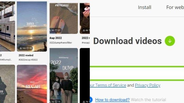 Web Downloader Video Online Savefrom, Unduh Template CapCut tanpa ...