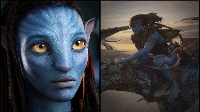 Sejarah dan Asal-usul Suku Bajo Indonesia, Jadi Inspirasi Sutradara ...