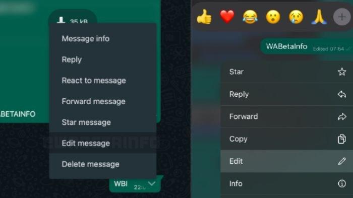 Fitur Edit Pesan Dirilis untuk WhatsApp Web, Android, iOS, Cek Caranya Berikut - Tribunkaltim.co
