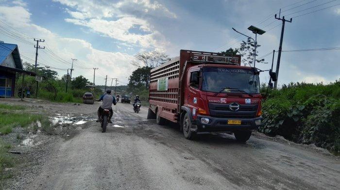 Jalan Kabo Jaya Sangatta Kutim Masih Berdebu, Warga Sebut Wajib Pakai ...