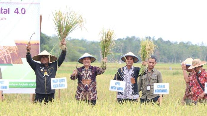 Unggul di Segi Produktifitas Hasil Tani Padi, Bumi Rapak Kutim Bakal ...