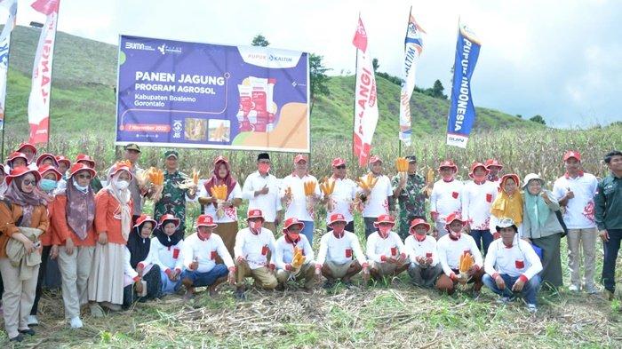 Capai Hasil Maksimal, Agrosolution PKT Dorong Produktivitas Jagung ...