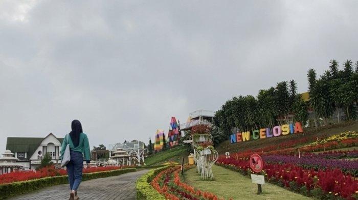 Harga Terbaru Tiket Masuk Taman Bunga Celosia, Berlaku Mulai 1 Desember ...