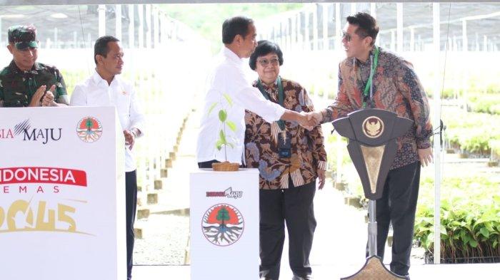 Presiden Resmikan Pusat Persemaian Mentawir, IKN Segera Dihijaukan ...