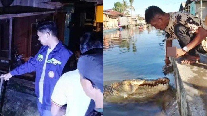 4 Fakta Wanita Diterkam Buaya di Bontang: Kondisi Korban Kritis hingga Buaya Riska Ikut Disorot ...