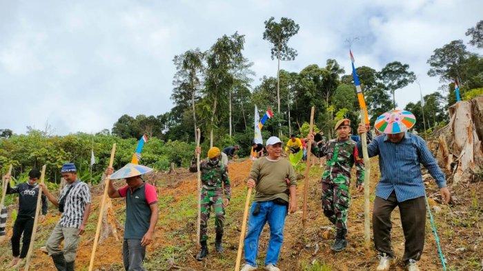 Wujudkan Ketahanan Pangan di Perbatasan, Prajurit TNI Pamtas RI ...