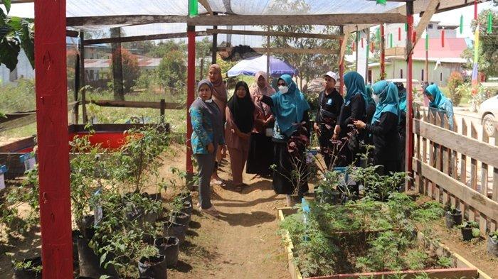 Ketua TP PKK Kutim Dorong Warga Manfaatkan Pekarangan Rumah, Bisa Ditanami Sayur hingga Ternak ...