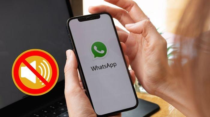 Tips WhatsApp Web: Cara Mengatasi Voice Note WhatsApp Tidak Ada Suara ...