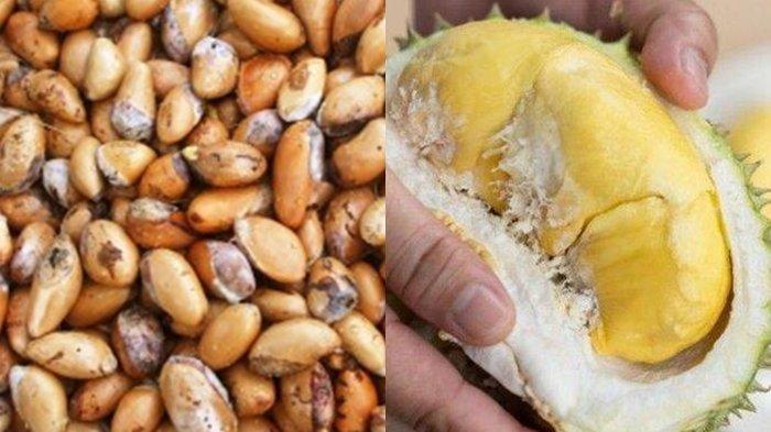 7 Biji Buah yang Bisa Dimakan, Lengkap dengan Manfaatnya Bagi Kesehatan ...
