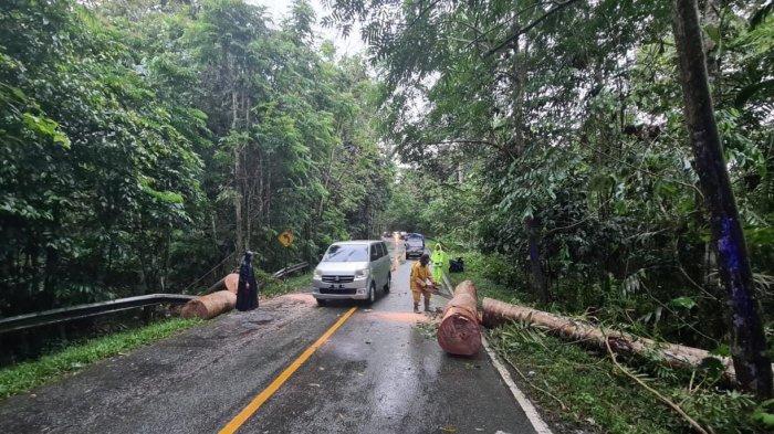 Prakiraan Cuaca 33 Kota di Indonesia Hari ini Jumat 19 Januari 2024 ...