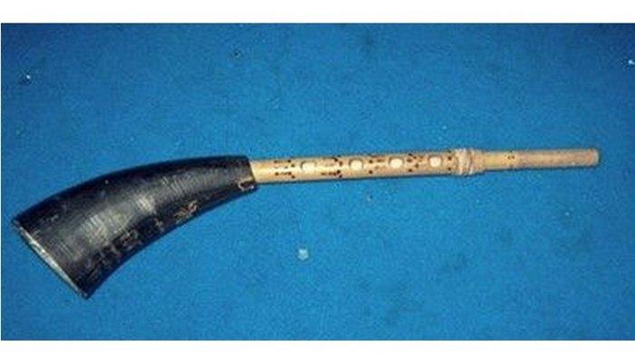 Apa Itu Serdam dan Serangko? Kenali Apa Saja Jenis Alat Musik ...