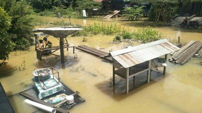Banjir di Muara Ancalong Kutai Timur Putuskan Akses Jalan, Picu ...