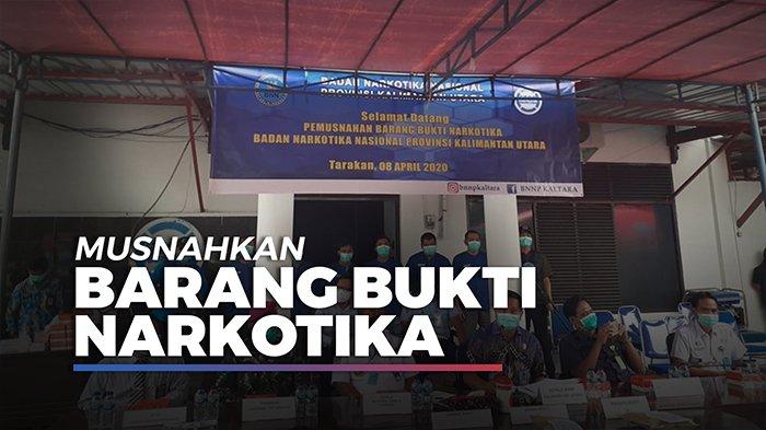 BNNP Kaltara Musnahkan Narkotika, Berikut Barang Bukti Lainnya - Tribunkaltim.co