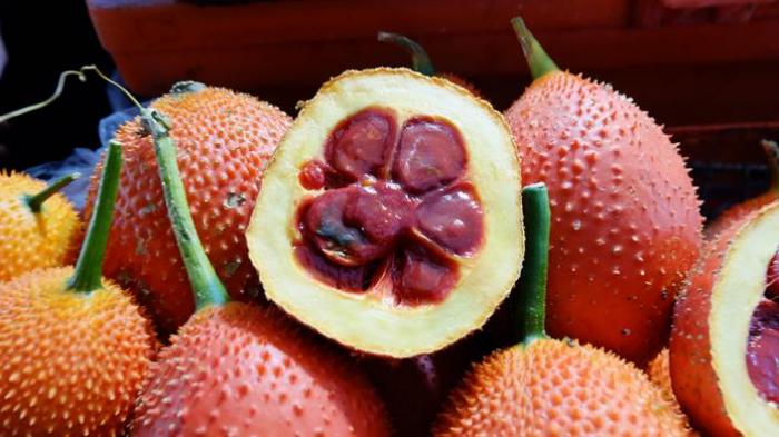 Inilah Buah dari Surga, Bagaimana Rasanya? - Tribunkaltim.co