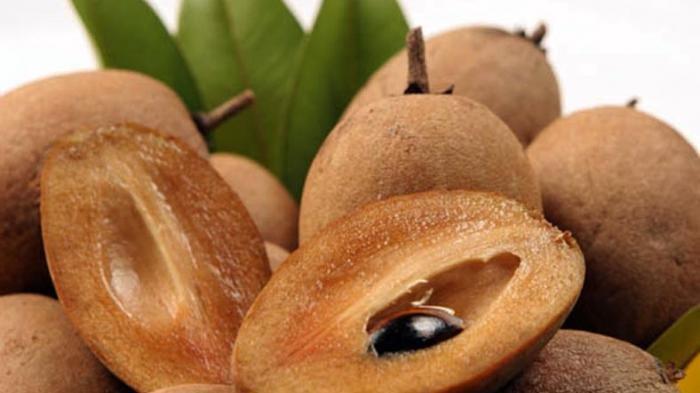 Mengenal Beragam Jenis Buah Sawo - Tribunkaltim.co