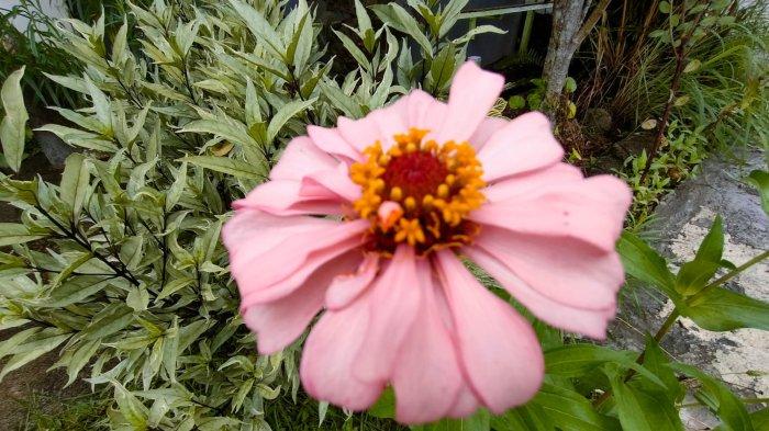 Cuaca Balikpapan Besok, 2 Kecamatan Berawan, Malam Dominan Turun Hujan ...