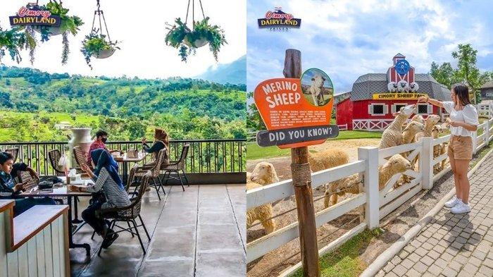 4 Pilihan Restoran Super Murah yang Lokasinya Dekat Dairyland Farm ...