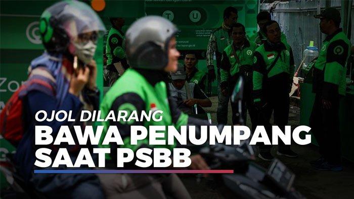 NEWS VIDEO Ojol Dilarang Bawa Penumpang Saat PSBB, Ini Tanggapan Gojek dan Grab - Tribunkaltim.co