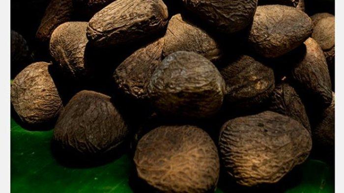 7 Manfaat Buah Kepayang bagi Kesehatan, Atasi Sindrom PMS dan Asam Urat ...