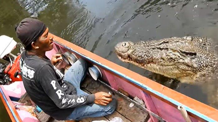 5 Fakta Buaya Bernama Riska di Bontang Kalimantan Timur, Asal-usul Nama ...