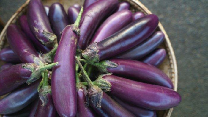 JARANG DIKETAHUI! INI Manfaat Terong untuk Kesehatan, dari Menyehatkan ...