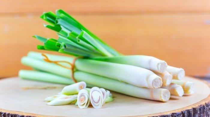 Daun Serai Memiliki Sifat Anti Bakteri, Ini Beberapa Manfaat Daun Serai ...