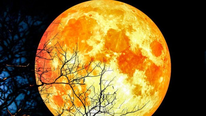 Di Balik Fenomena Bulan Merah Berkarat yang Indah, NASA Ungkapkan ...