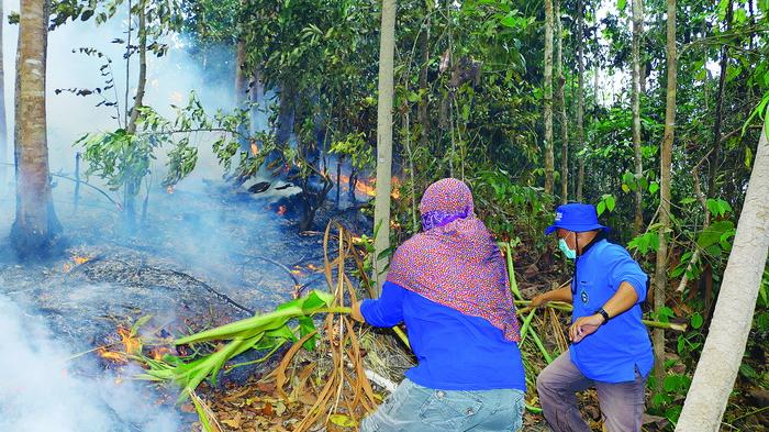 Ratusan Satwa dan Tumbuhan di Hutan Lindung Sungai Wain Ikut Terbakar - Tribunkaltim.co