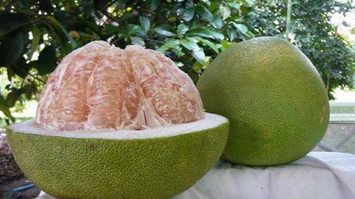 5 Manfaat Jeruk Bali Bagi Kesehatan Tubuh, Ternyata Dapat Meningkatkan ...