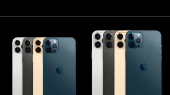 Ini Perbandingan iPhone 12 Pro dan iPhone 12 Pro Max dan Harga HP ...