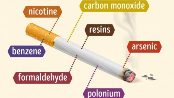Masih Merokok? Ini Kandungan Zat Berbahaya Tiap Jenis Rokok Termasuk ...