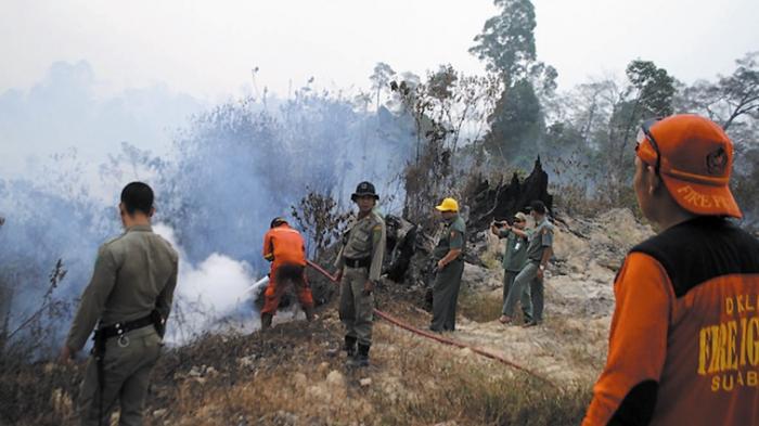 Kapolda Janji Tindak 12 Tersangka Pembakaran Hutan - Tribunkaltim.co