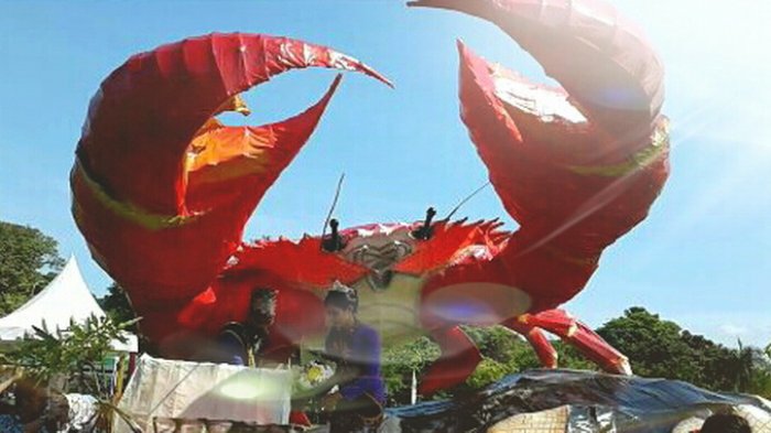 Kepiting Mangrove Raksasa Seukuran Mobil Sedan Diarak di HUT Balikpapan ...