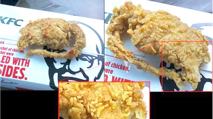 KFC Menyatakan Benar-benar Daging Ayam bukan yang Lain - Tribunkaltim.co
