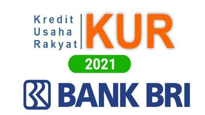 Terbaru! Lengkap Cara Dapat KUR BRI Rp 100 Juta 2021, Besaran Bunga KUR ...