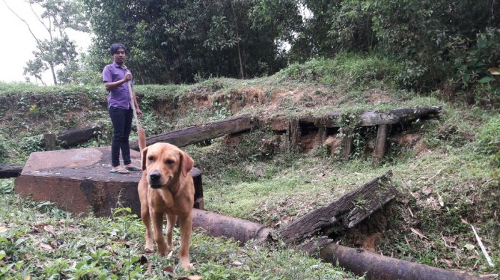 Ini Dia Fakta Tentang Meriam Jepang Markoni, Nomor 15 Bikin Nyesek ...