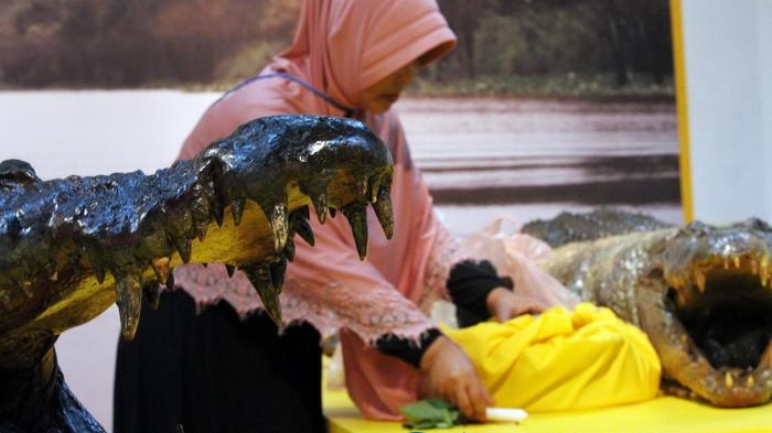 Kisah Menakutkan Monster Sangatta Pemangsa Manusia - Tribunkaltim.co