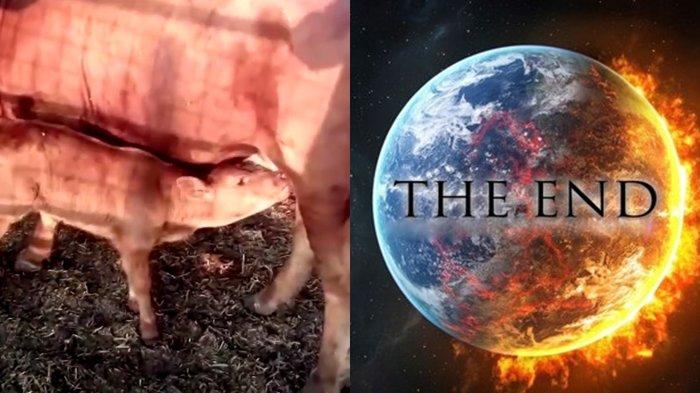 Orang Yahudi Percaya Sederet Peristiwa Ini Tanda Kiamat, Salah Satunya ...