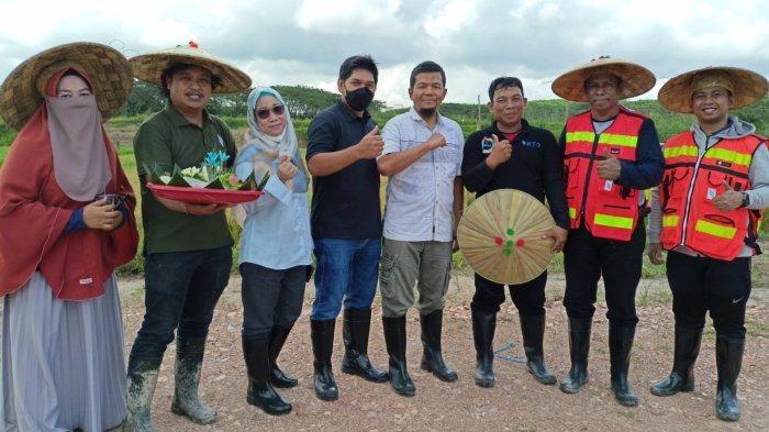 Kitadin Site Embalut Kutai Kartanegara Panen Padi Perdana di Lahan ...