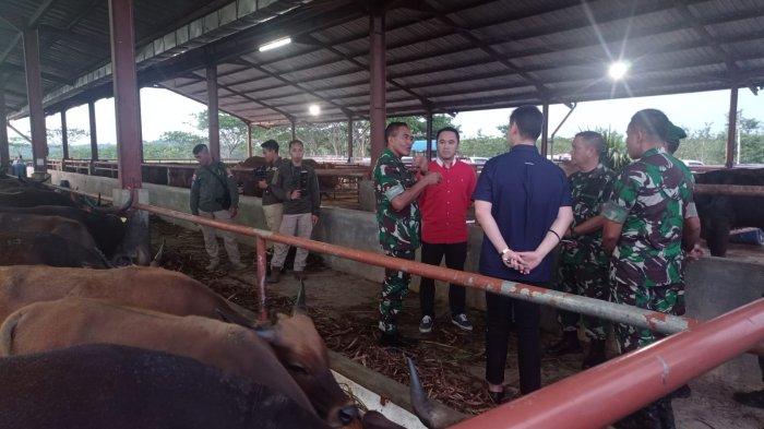 Pastikan Ketahanan Pangan, Pangdam VI Mulawarman Kunjungi Mini Ranch di ...