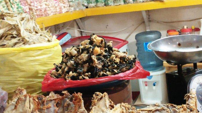 Kima, Sirip Hiu, Telur dan Sisik Penyu, Semua Biota Laut Dilindungi ...