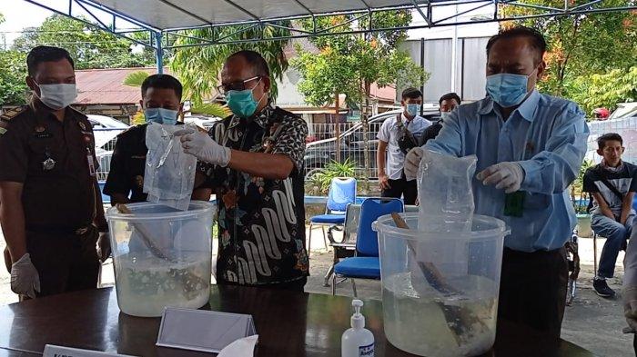 BNNP Kaltara Musnahkan Narkotika Jenis Sabu, Total 2 Kilogram - Tribunkaltim.co