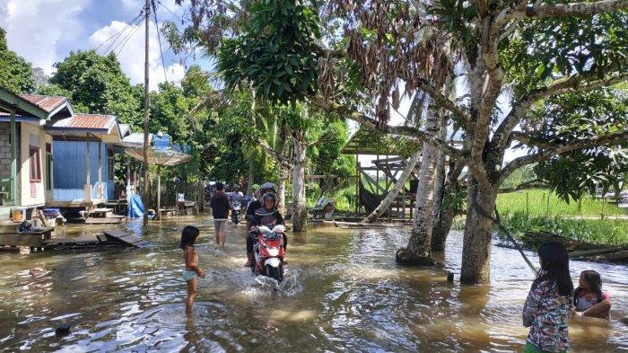 Banjir di Bulungan Genangi Permukiman Penduduk dan Akses di Buluh ...