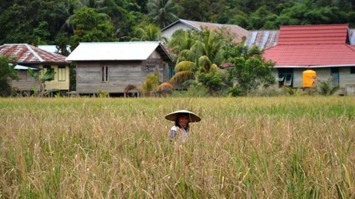Jumlah Desa yang Jadi Lokasi Program Kampung Iklim Diusulkan Bertambah ...