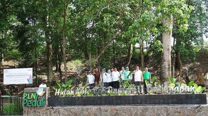 Sebagai Bentuk Tanggung Jawab Sosial, PLN UIP Kalbagtim Kembali ...