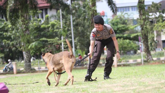 Empat Bintara Berprestasi Disekolahkan jadi Pawang Anjing - Tribunkaltim.co